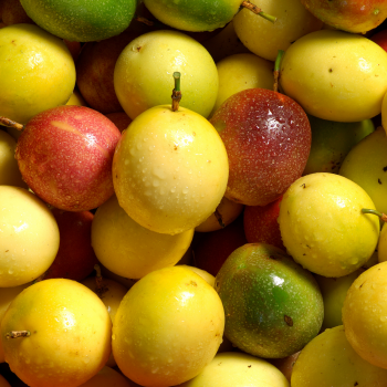 La Parchita - La Fast