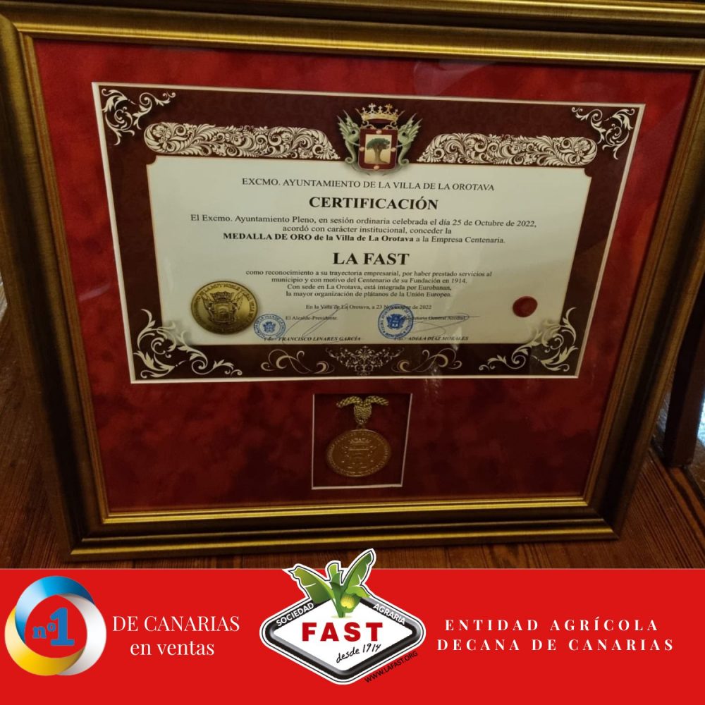 MEDALLA DE ORO DE LA VILLA DE OROTAVA 2022 - La Fast