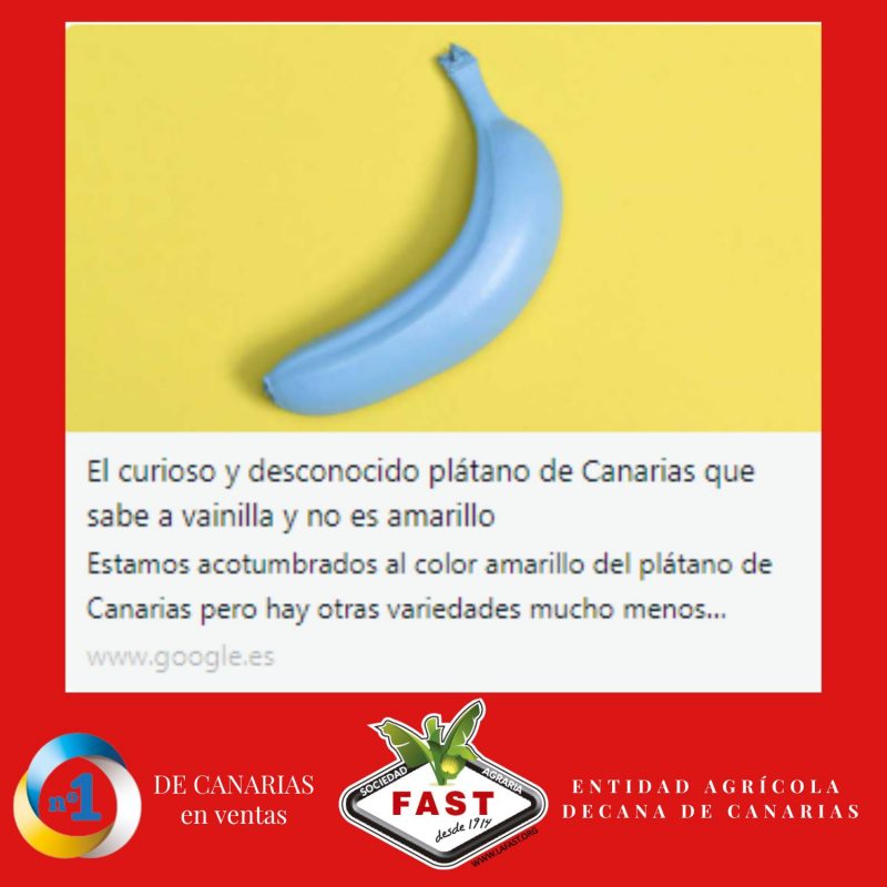 Conociendo un poco más al plátano azul - La Fast