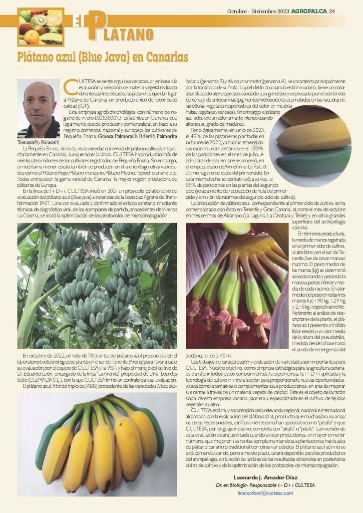 Artículo sobre el plátano azul, - La Fast